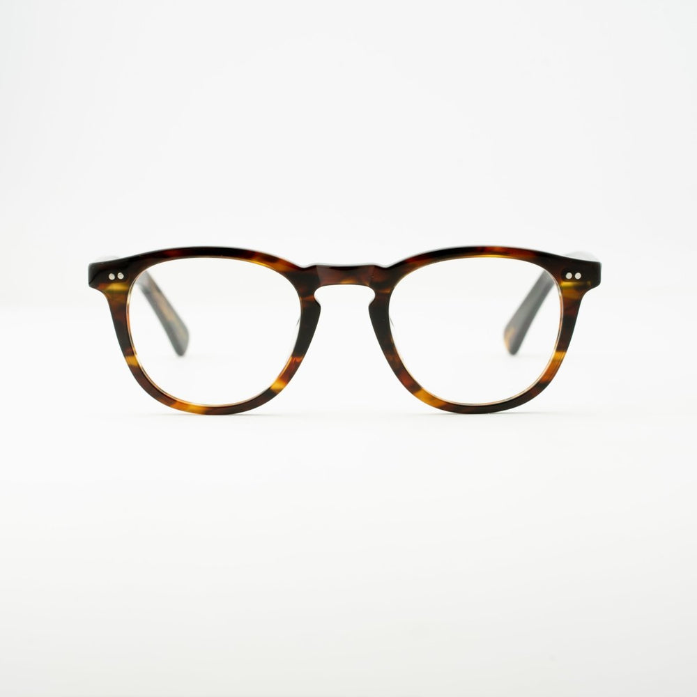 Ollie NELSON | Sunglasses | Ottica Occhiblu